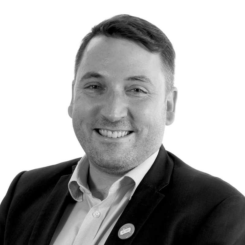 Linden New Art - Our Board