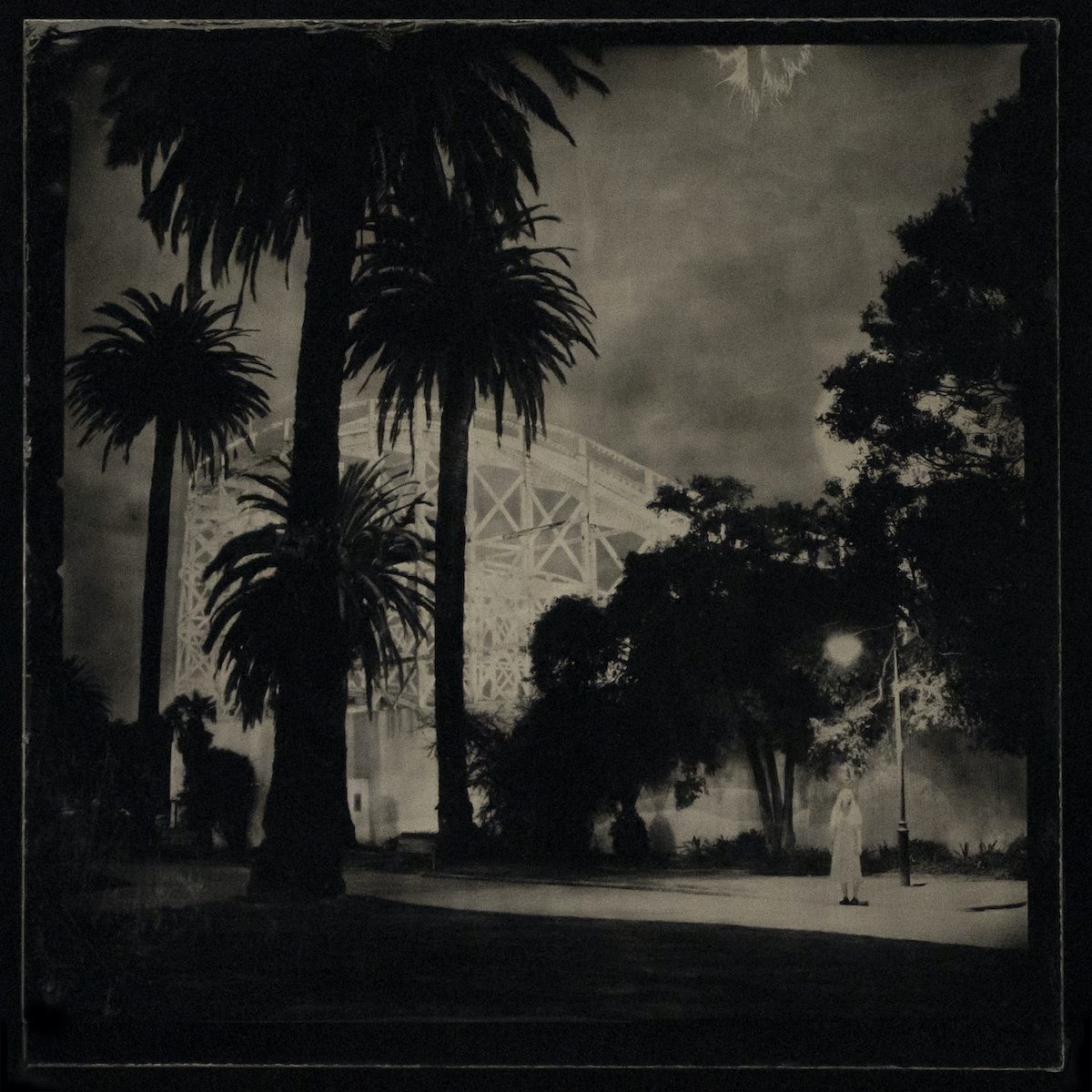 Linden New Art - Jane Burton